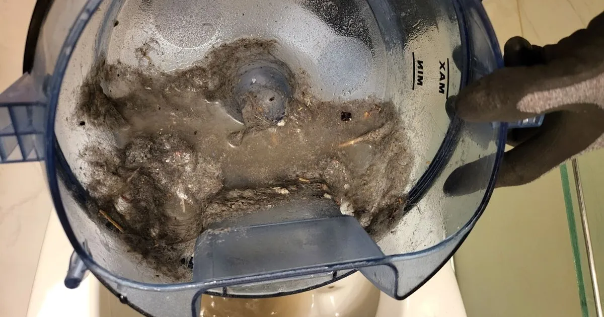 반려묘를 키운 집 이사전 털냄새 탈취살균 작업 초록나무 공간케어환경관련 엔지니어링 서비스 숨고 숨은고수