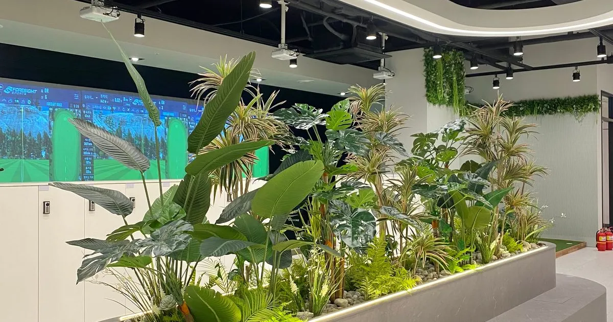실내 골프존 플랜트 박스 Essong Garden 에숑 가든 숨고 숨은고수