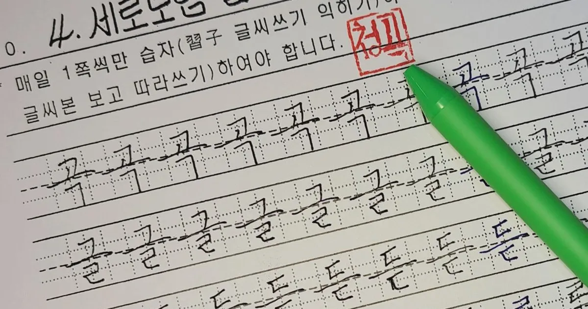 글씨교정 강기선 숨고 숨은고수