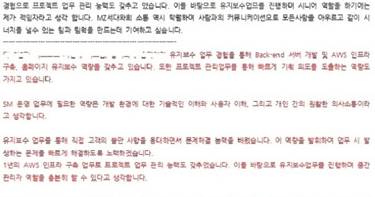 자소서 첨삭 예시 취업마녀 미르 숨고 숨은고수
