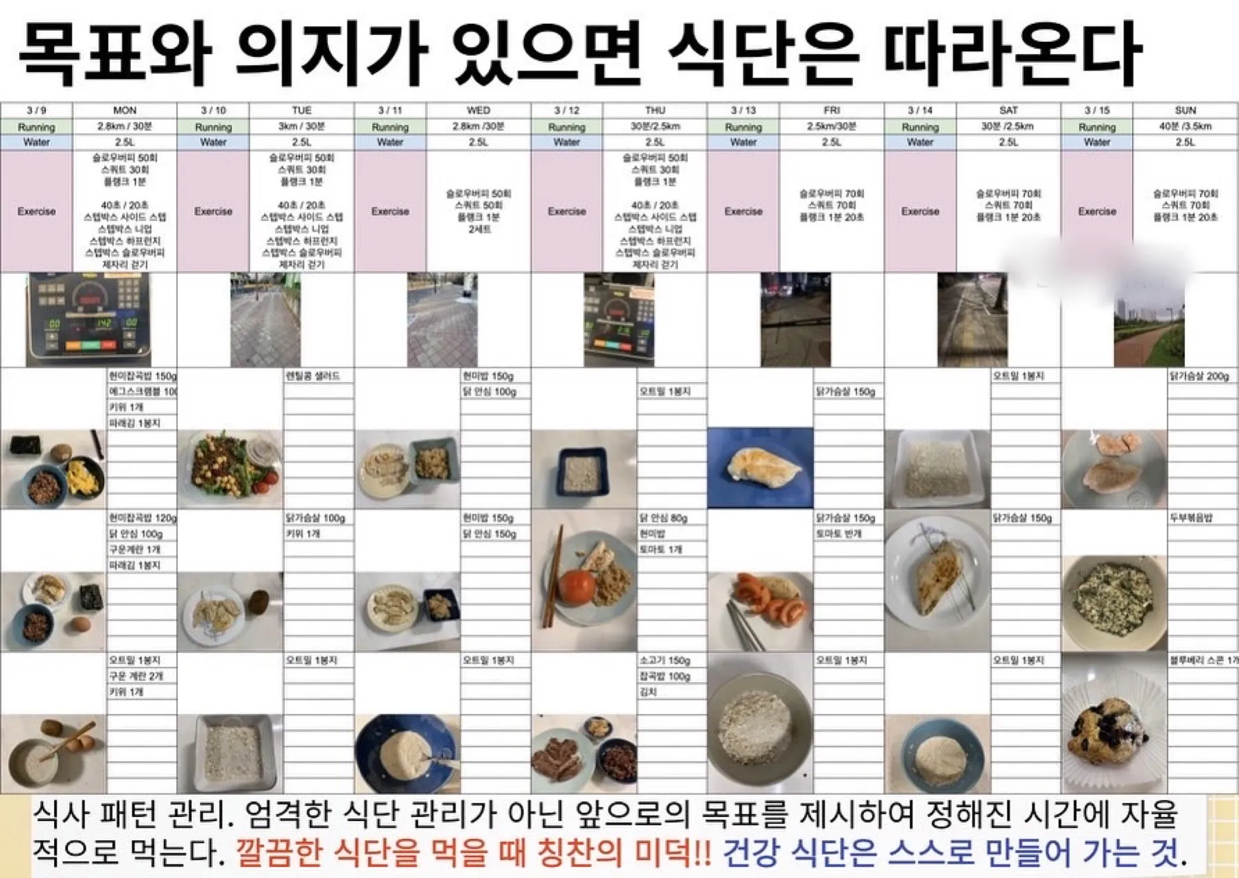 다이어트벌크업습관관리우울개선 프로그램 한희민 숨고 숨은고수