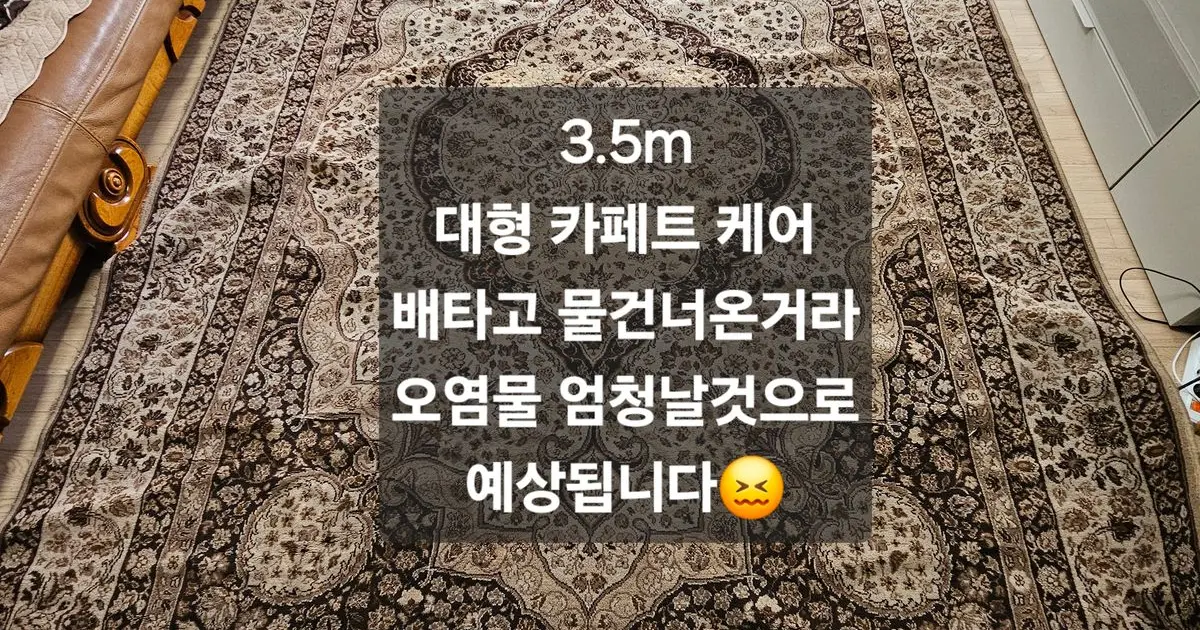 파주 운정동 카페트케어수거배송 클린신 비치움 숨고 숨은고수