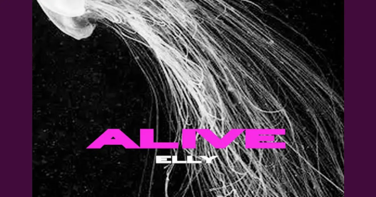 Alive - Elly Yu 편곡 / haney - 숨고, 숨은고수