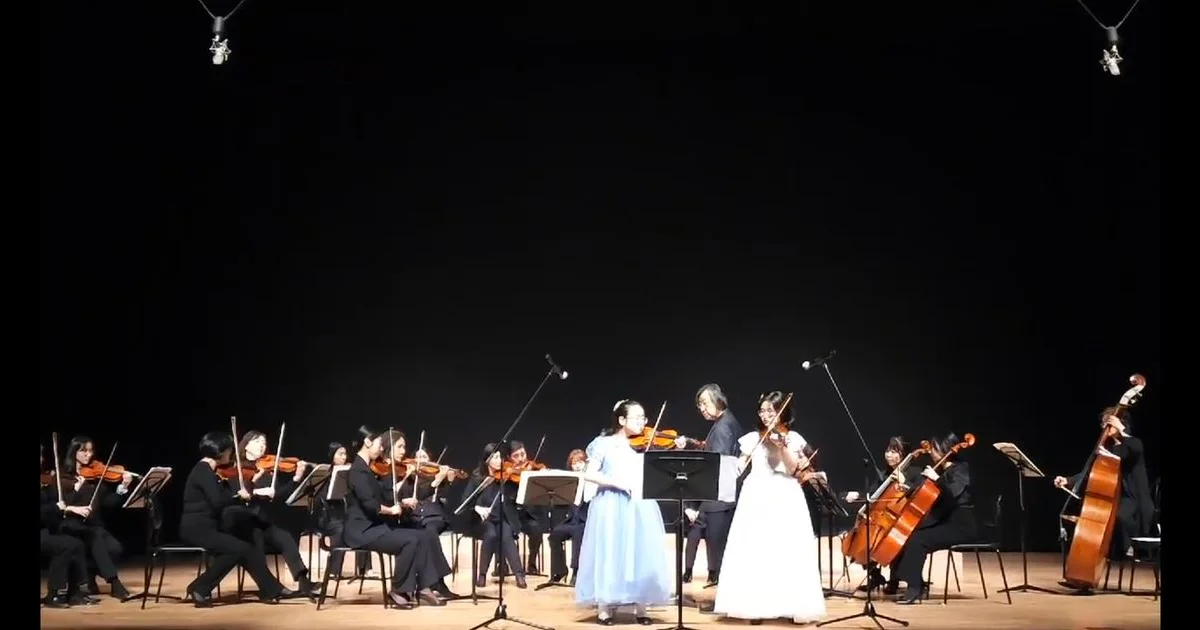 체계적인 11맞춤 바이올린전문레슨 바이올린하우스♡violinssam 숨고 숨은고수