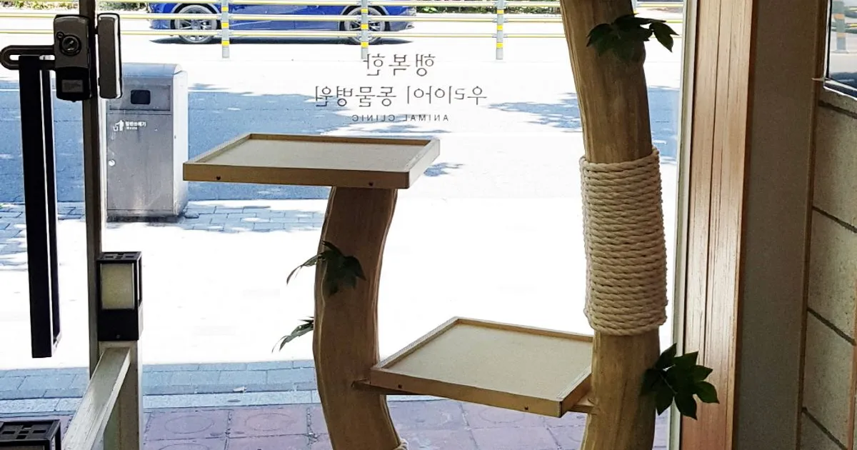 발라당작업실 인조나무 캣타워 설치 강현우 숨고 숨은고수