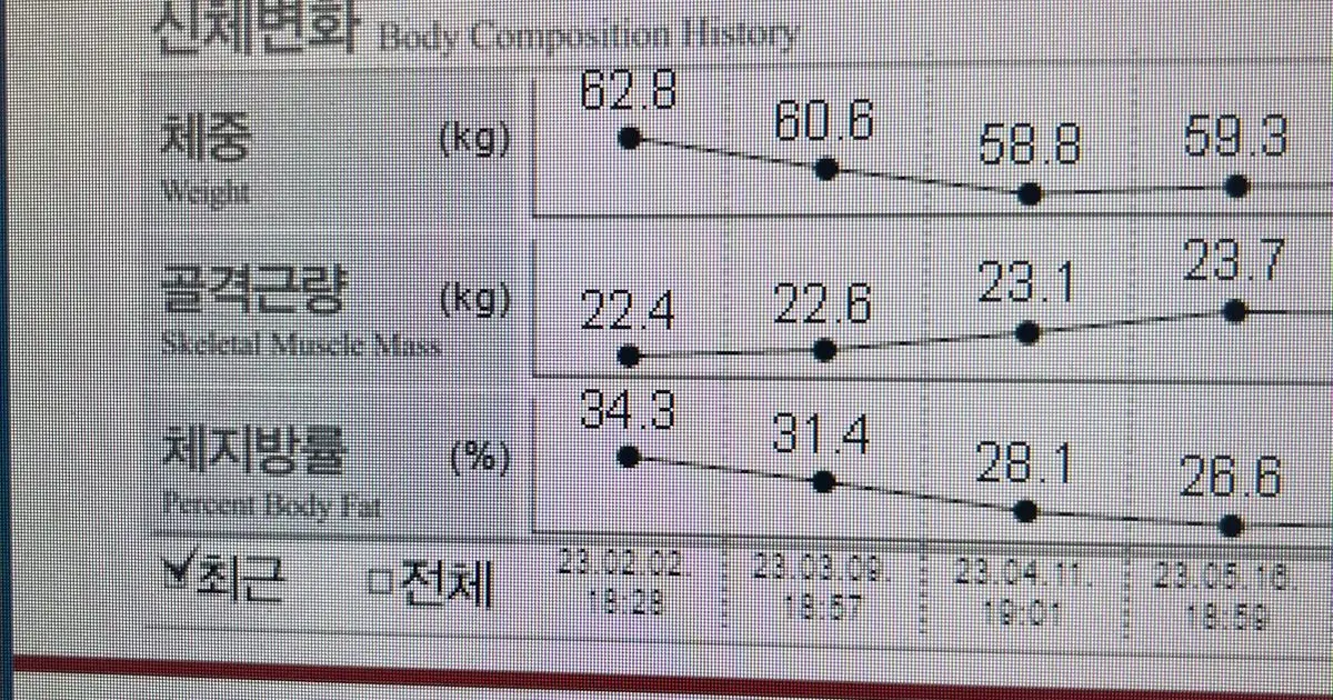 체중 감소와 근육량 증가 Son쌤 Pt 숨고 숨은고수