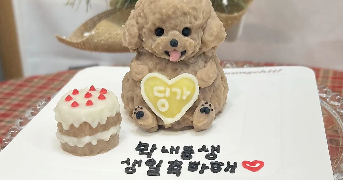 멍칫 커스텀 케이크 이채빈 숨고 숨은고수