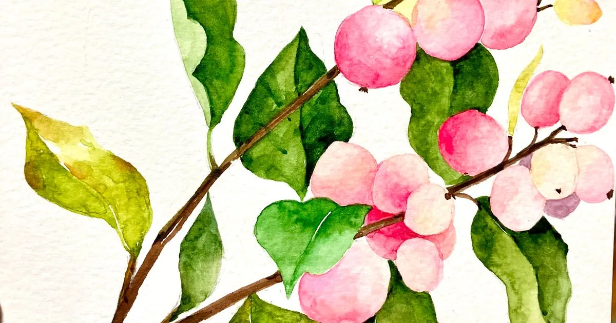 꽃 수채화 상상창고미술 숨고 숨은고수