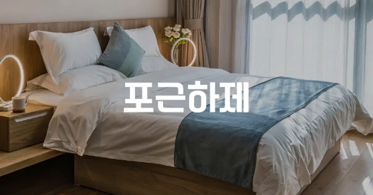 에어비엔비 숙소 윤카피 숨고 숨은고수