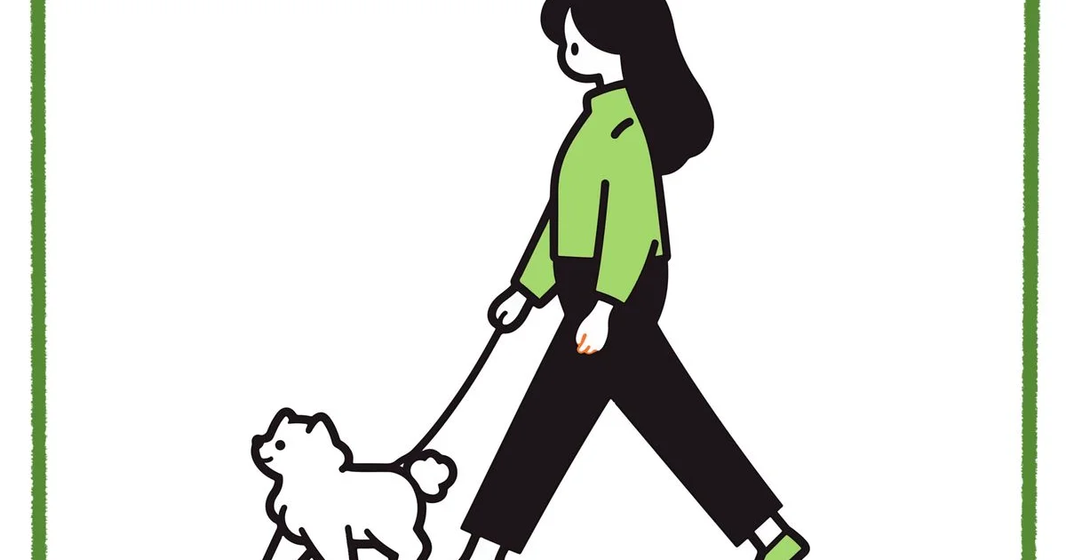 산책교육 올바른 참견 정회웅 숨고 숨은고수