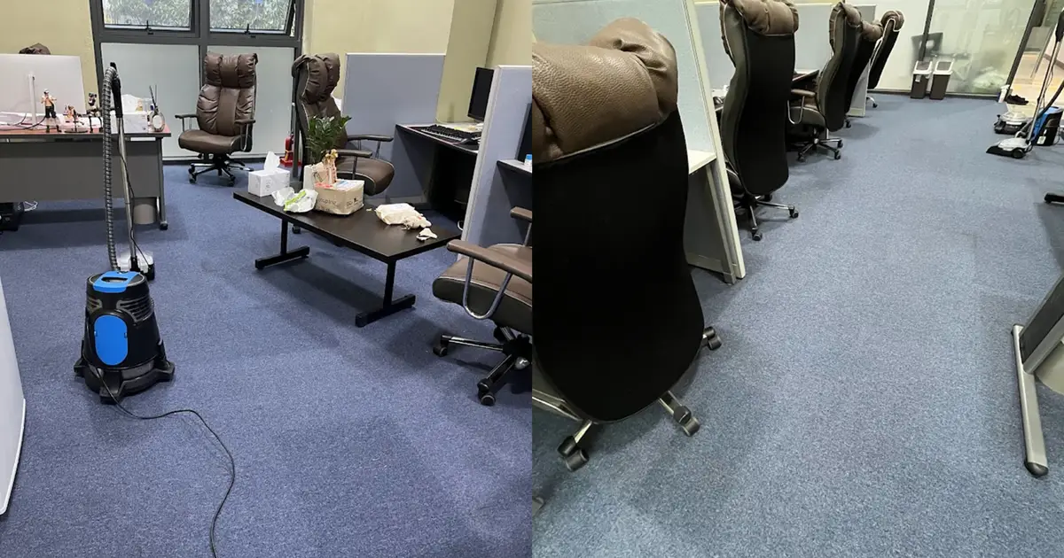 침수된 사무실 바닥 카페트 청소 숨케어 비치움 숨고 숨은고수