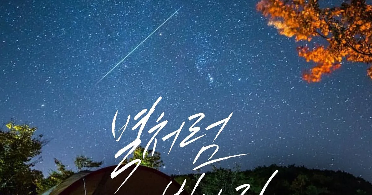 캘리그라피 신나는 나리 숨고 숨은고수