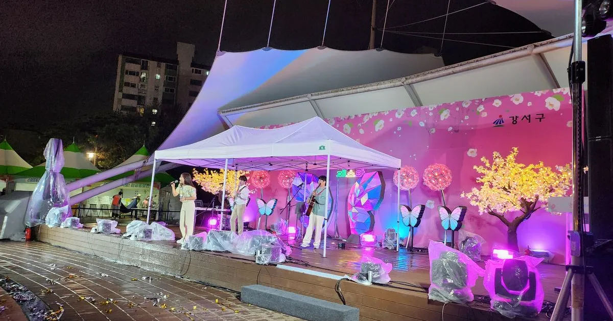 축제 밴드 공연 진행 이음컴퍼니 숨고 숨은고수