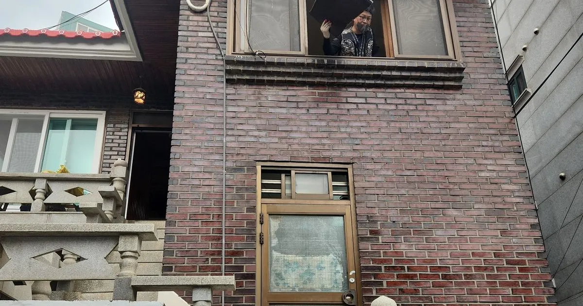 대량 폐기물 알로하 숨고 숨은고수