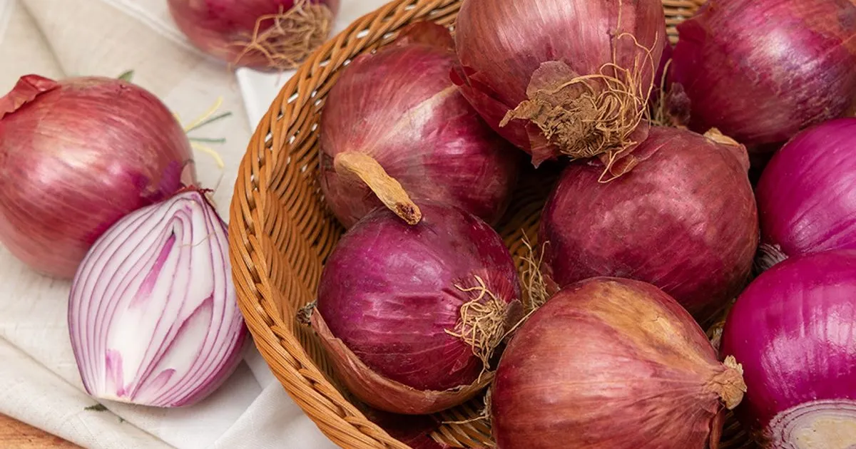 상품 촬영 + 상세이미지 / Gafia(가피아) - 숨고, 숨은고수