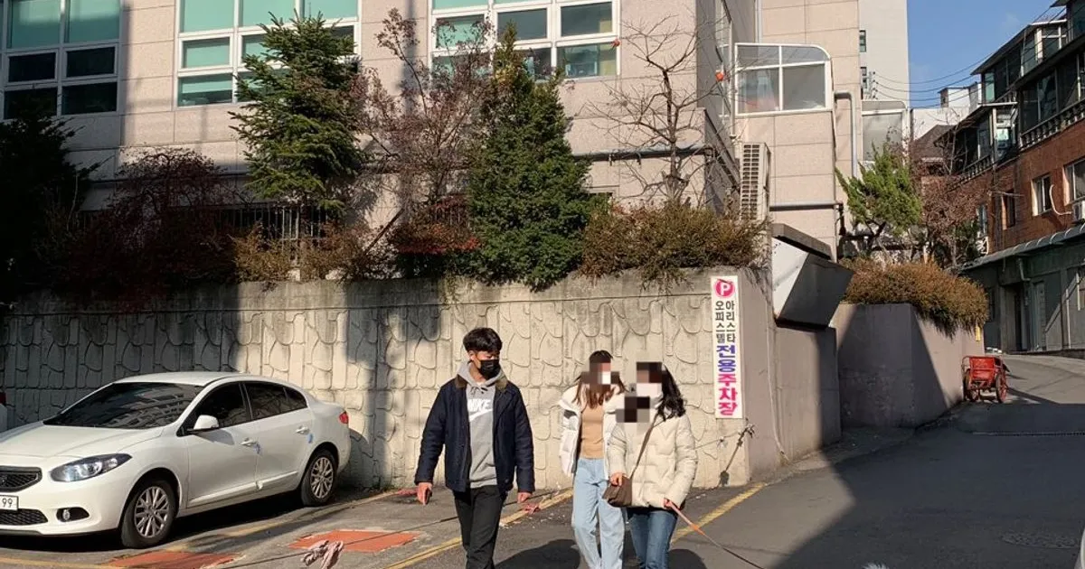 산책교육 및 배변교육 올바른 참견 이중규 숨고 숨은고수