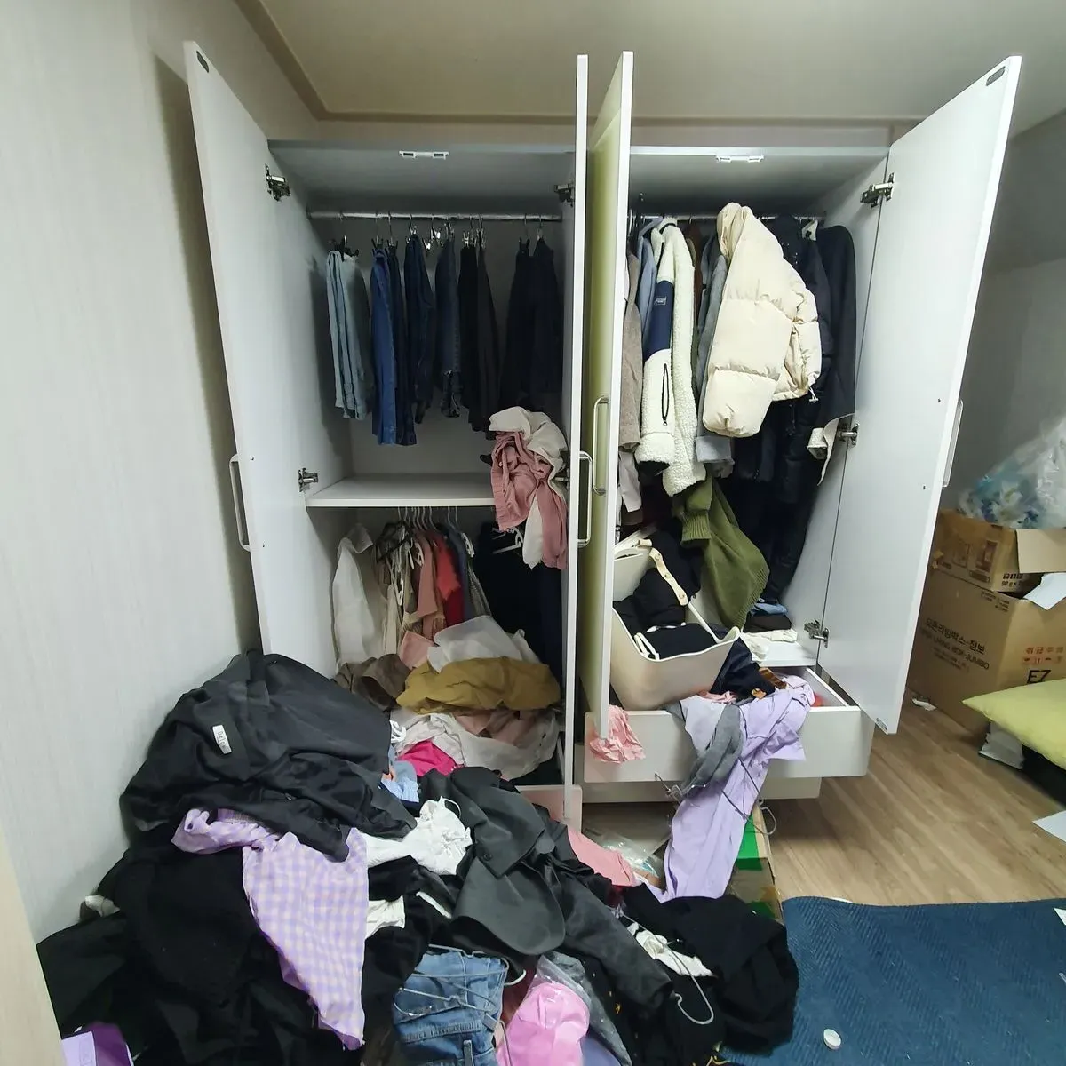 드레스룸 정리 컨설팅 최미소 리손드 정리 컨설팅 숨고 숨은고수