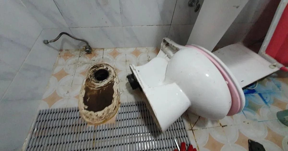 울산 다운동 빌라 변기 막힘 올클리어배관 숨고최고업체하수구막힘각종수전교체 숨고 숨은고수