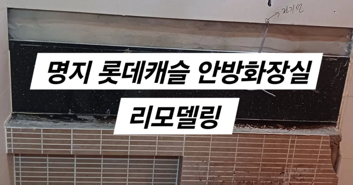 명지 롯데캐슬 공용화장실 안방화장실 리모델링 ㅡ 유봉식 숨고 숨은고수