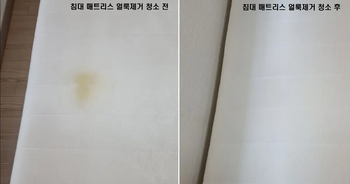 침대 매트리스 오줌 얼룩 제거 클린공방 숨고 숨은고수