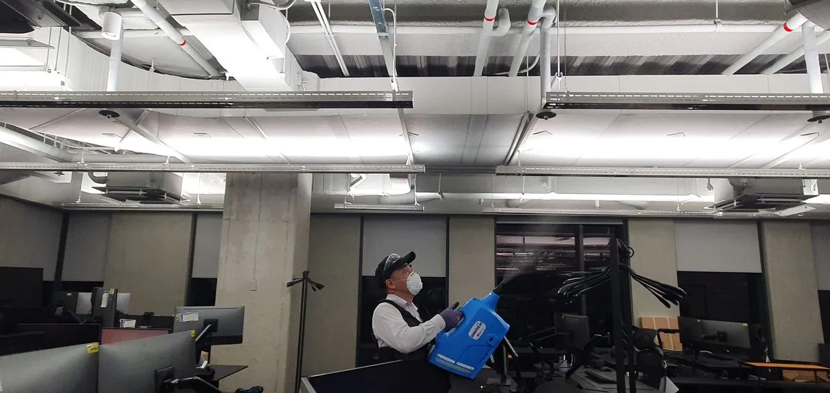 새집증후군 냄새 제거 전문기업 새집헌집 증후군 해충방제 전문 그린f5강남본부 숨고 숨은고수