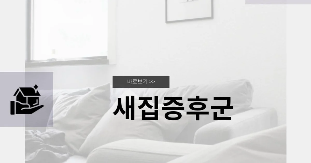 새집증후군 제거 유별나게 청소하는 유별난홈케어⭐50 숨고 숨은고수