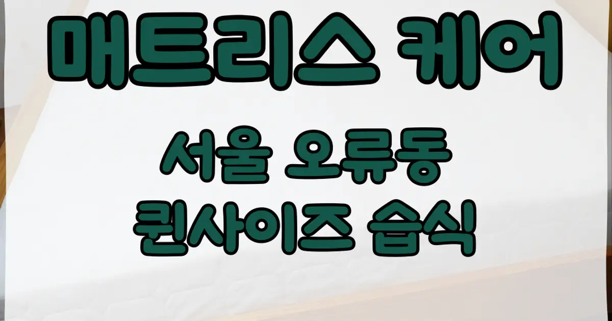 서울 오류동 매트리스 습식 클린프렌즈 숨고 숨은고수