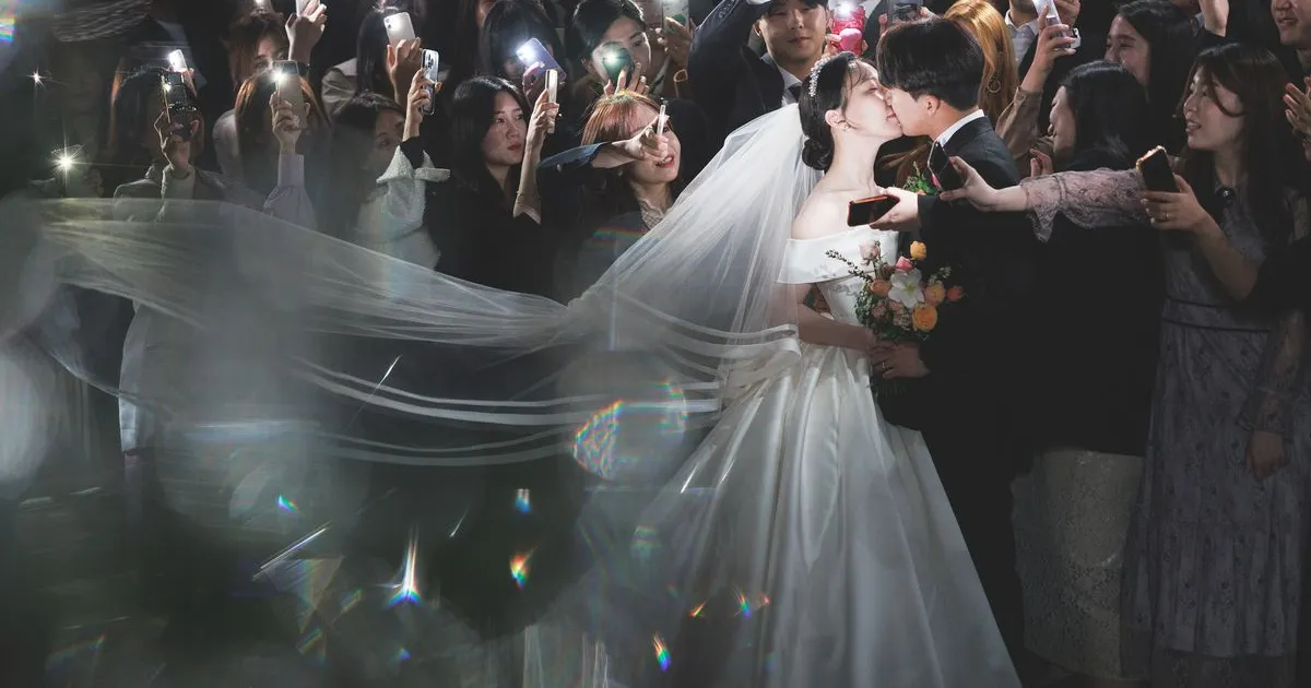 대전 라비에벨 브리즈포토그라피 숨고 숨은고수