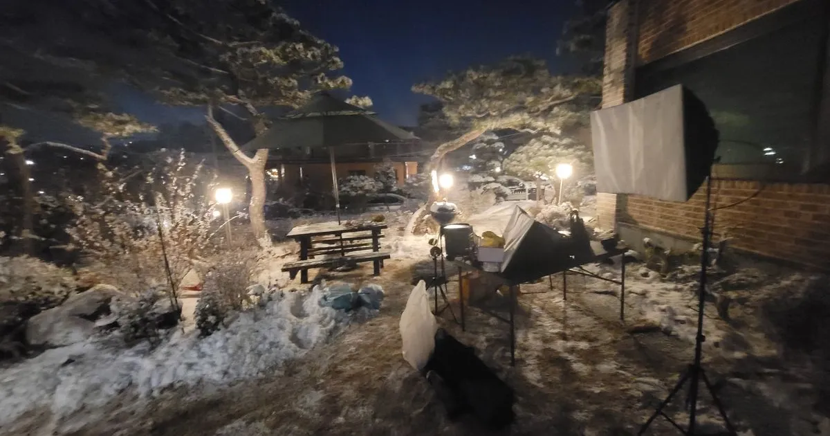 야외 본딩 라이브커머스 중계 쏘야컴퍼니 숨고 숨은고수