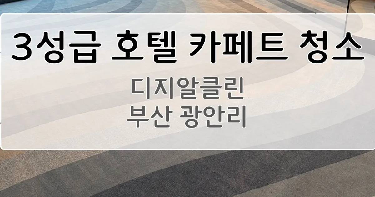 부산 광안리 3성급 호텔 카페트 청소 부산경남 찐” 종합청소 디지알클린 숨고 숨은고수