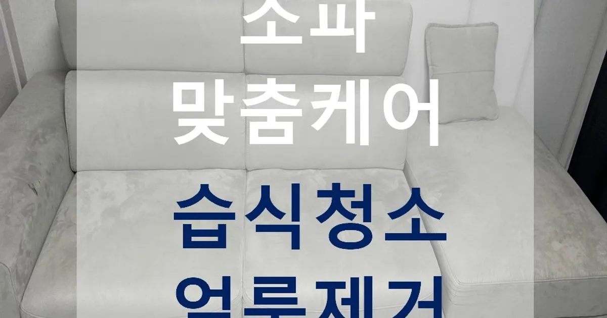 소파 얼룩제거 및 전체 습식 케어 권순광 숨고 숨은고수