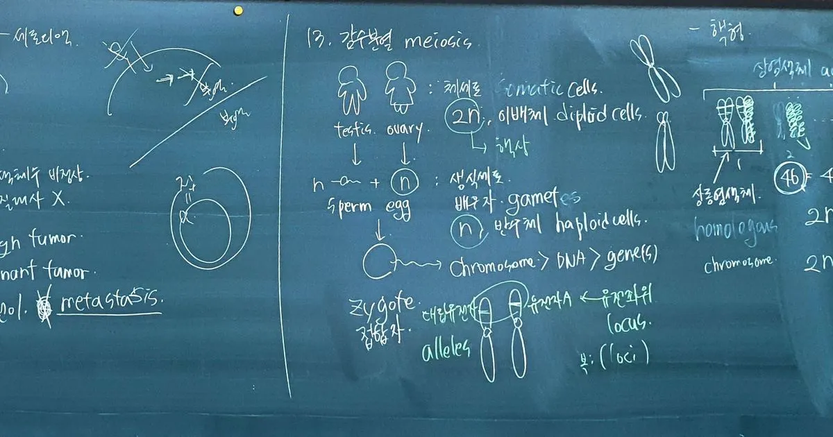 고1 과학 과외 임성욱 숨고 숨은고수