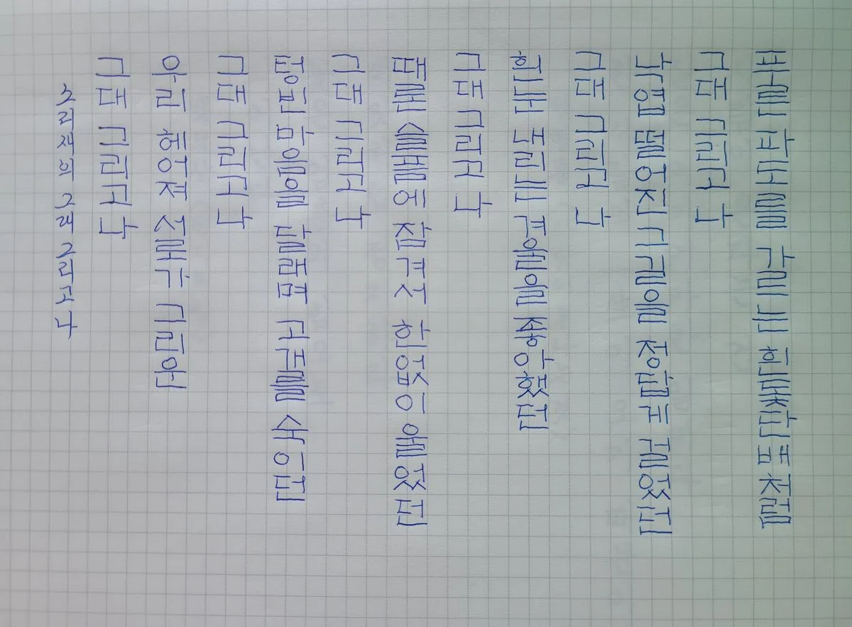 글씨교정악필교정 고시체 예쁜글씨 초단기 손글씨 숨은고수 김쌤 숨고 숨은고수