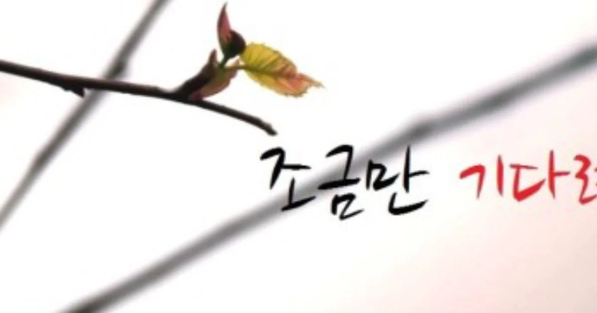 다큐멘터리조금만기다려음악총괄제작 김상범 숨고 숨은고수