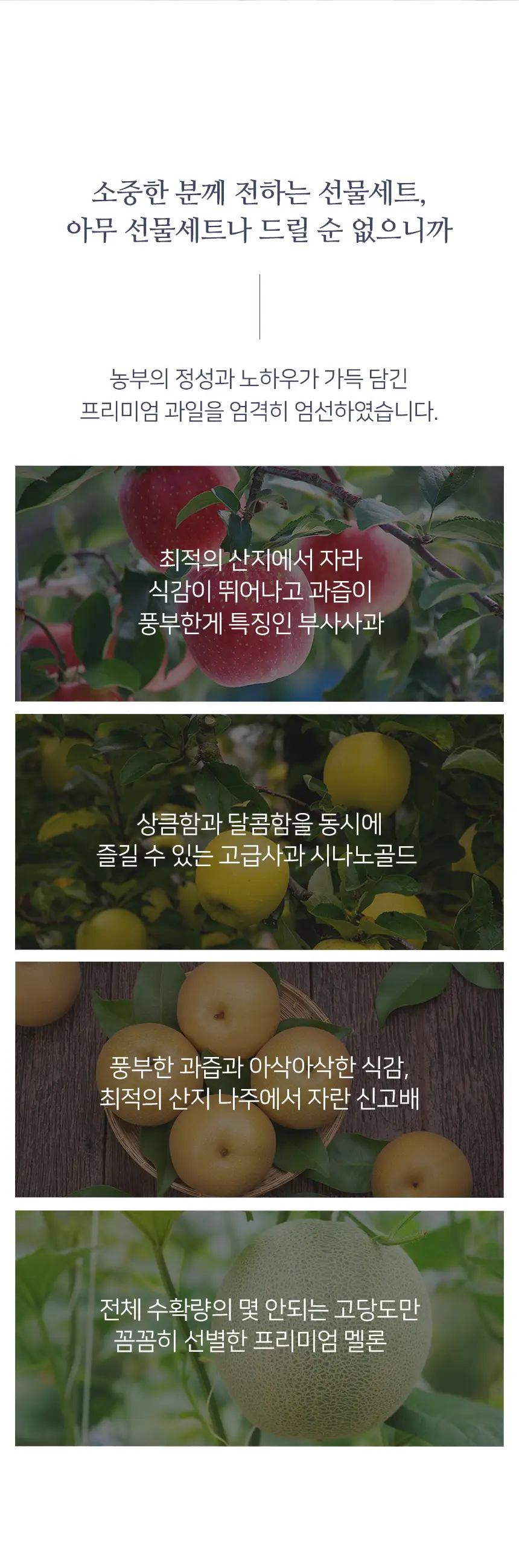 과일 선물세트 상세페이지 장보경 숨고 숨은고수