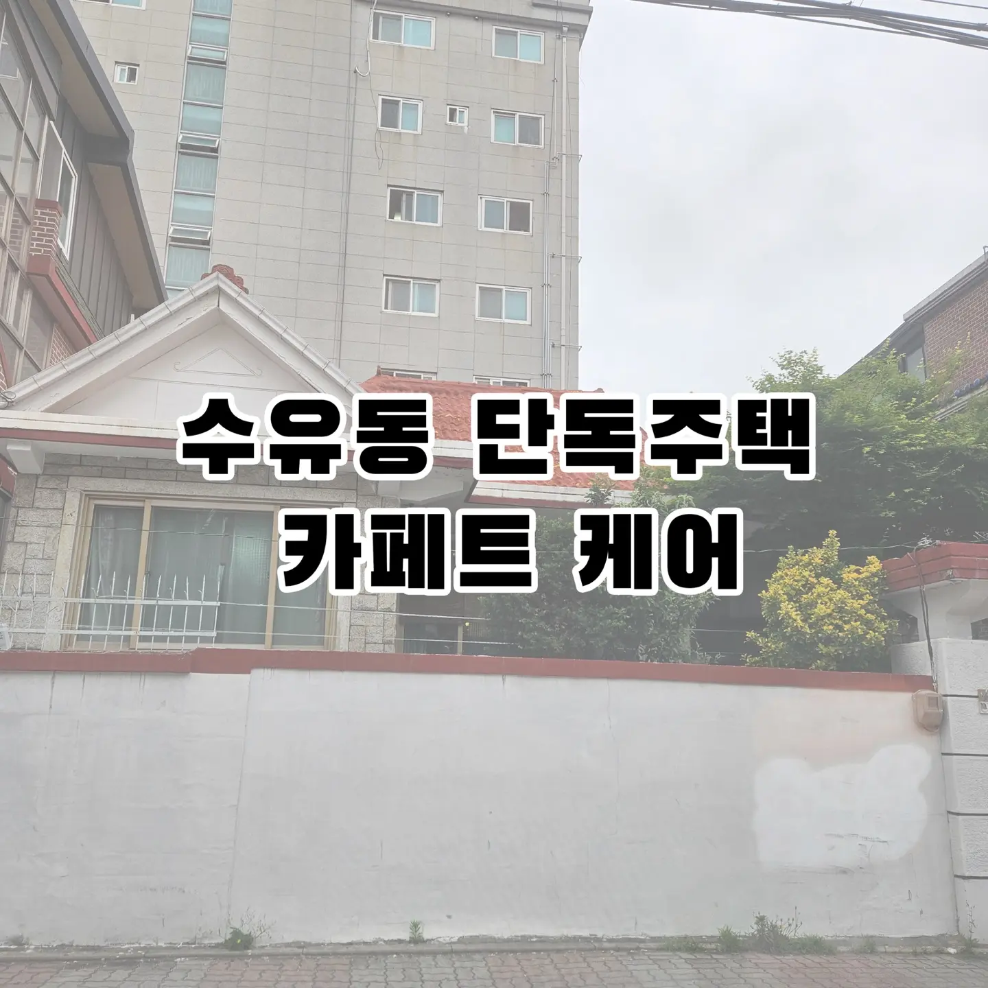 수유동 단독주택 카페트케어 클린신 비치움 숨고 숨은고수