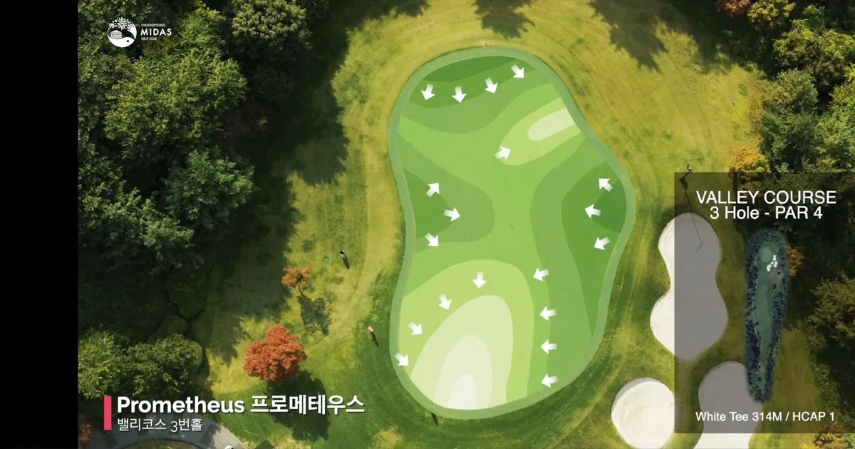 생체 골프 특강 케빈박프로 숨고 숨은고수