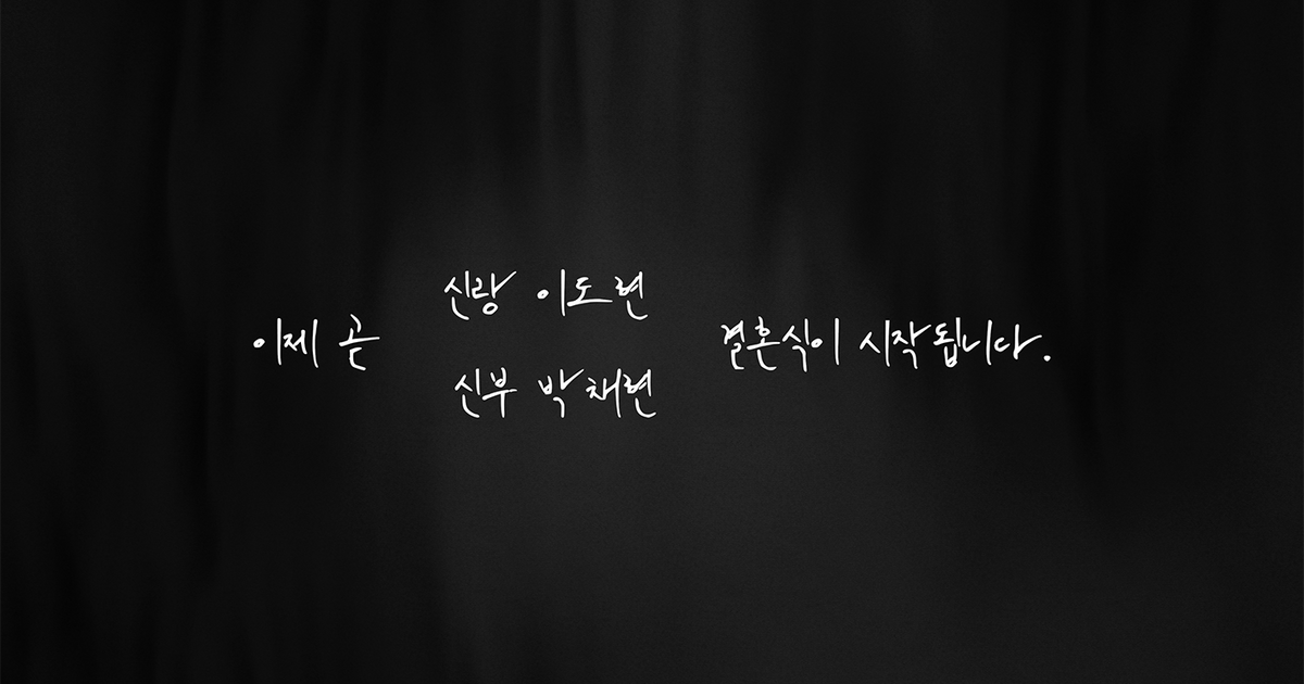 결혼식 인트로아웃트로 Lisianthus 숨고 숨은고수