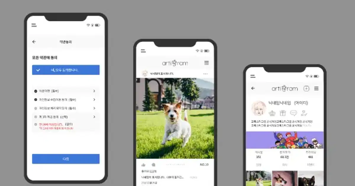 아티스타그램 어플리케이션 안드로이드ios개발 지니어스나인 숨고 숨은고수