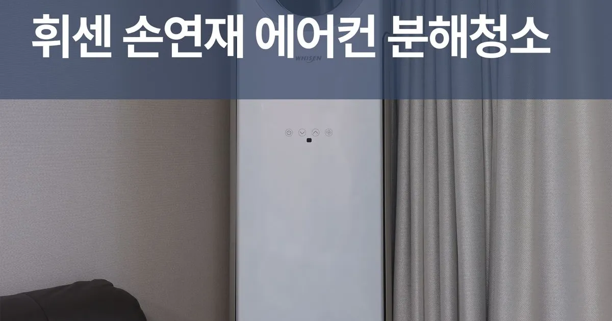 휘센 손연재 에어컨 완전 분해 세척 ⭐공기청정소⭐ 에어컨 설치 청소 수리 전문업체 숨고 숨은고수