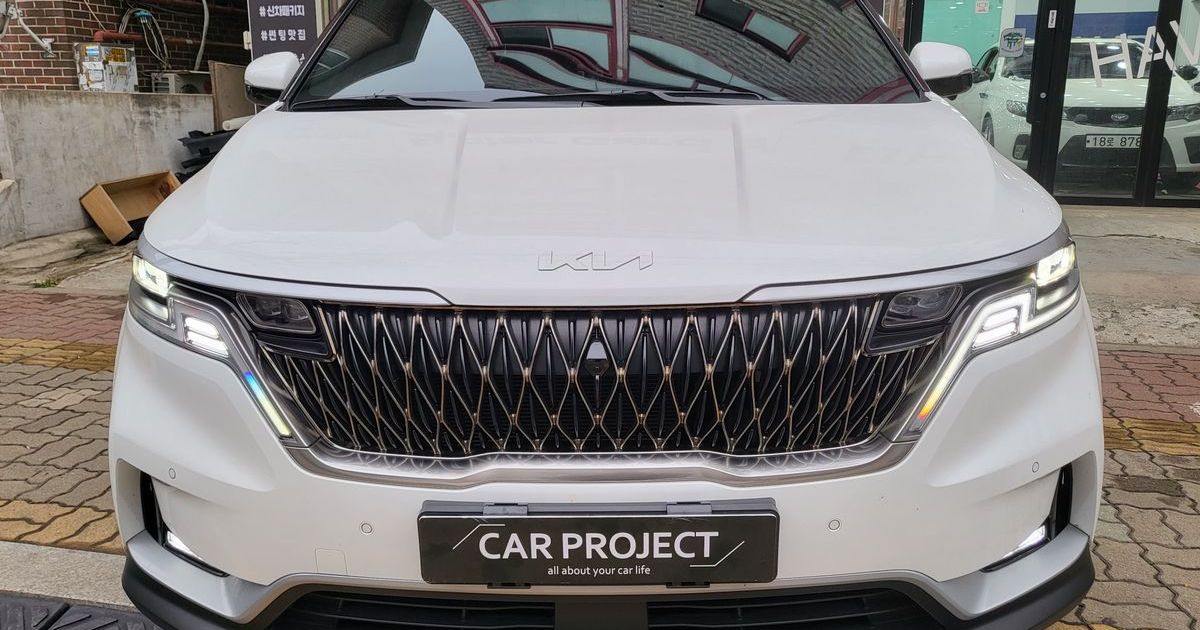 카니발 애니가드 Ap80r 카프로젝트 숨고 숨은고수