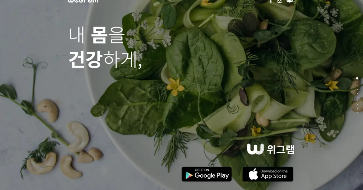 Wegram 다이어트 서포트 어플리케이션 김강현 숨고 숨은고수