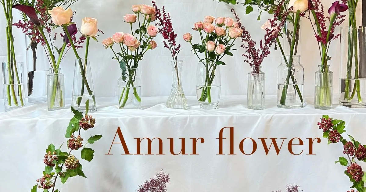 돌잔치 스튜디오 촬영 꽃 아무르 플라워amur Flower 숨고 숨은고수