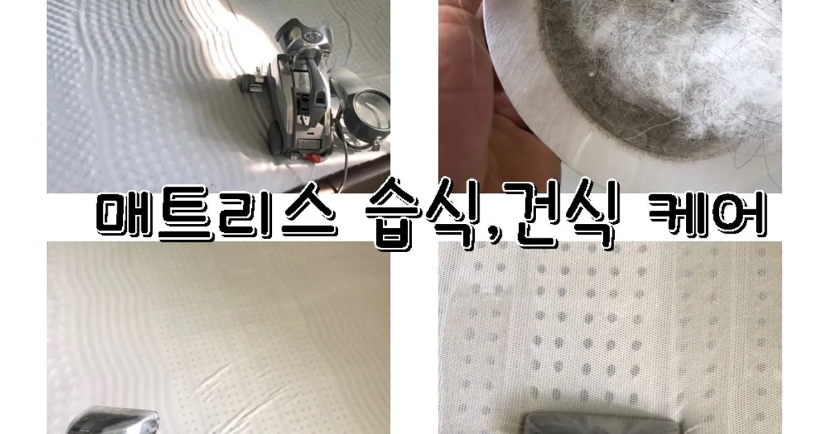 강아지털 매트리스 청소 다녀왔습니다~ 홈케어끝판왕 올클린 숨고 숨은고수