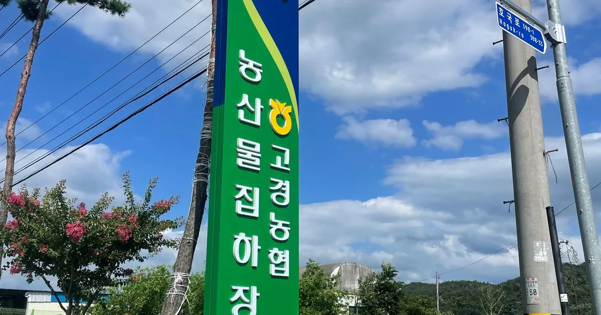 영천농협 단포지점 지주긴판 시대광고기획 숨고 숨은고수
