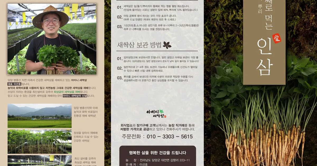 새싹삼 리플렛 제작 및 인쇄 디자인메이트 숨고 숨은고수