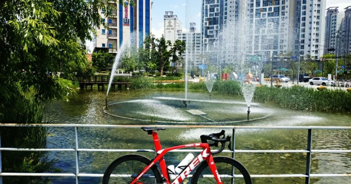 자전거 빠르게 배우기 안태현 숨고 숨은고수