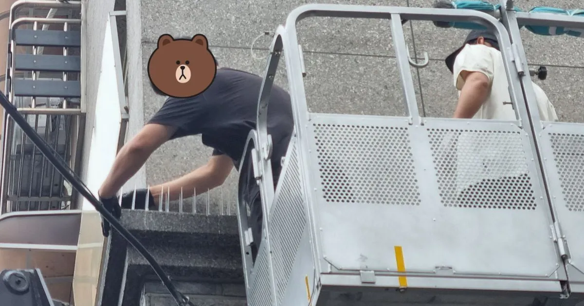 빌라 비둘기차단망 설치작업 일심스카이 숨고 숨은고수