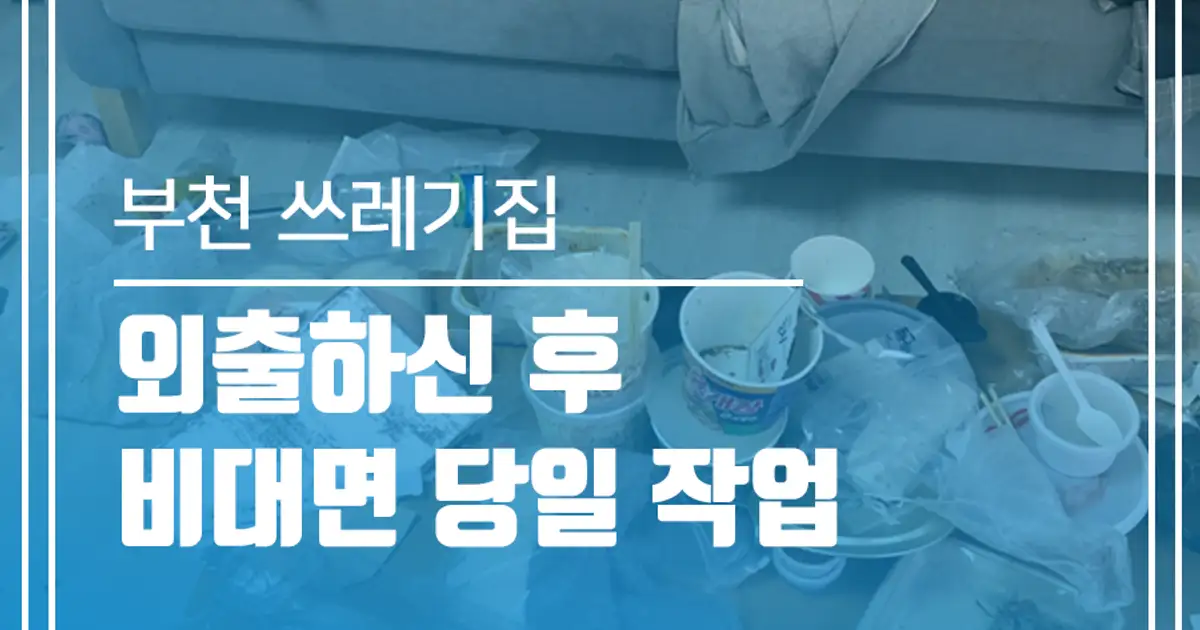 부천 쓰레기집 비대면 당일작업 포근한 공간으로 재탄생 봄봄의 정리 숨고 숨은고수