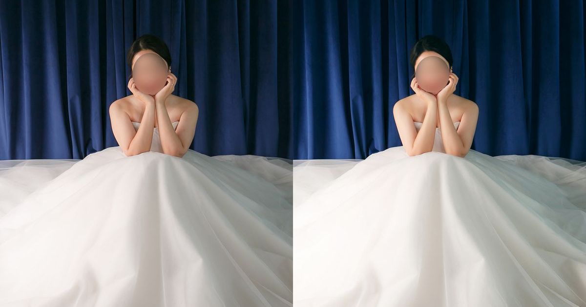 일반수정 사진수정 델피니움 숨고 숨은고수